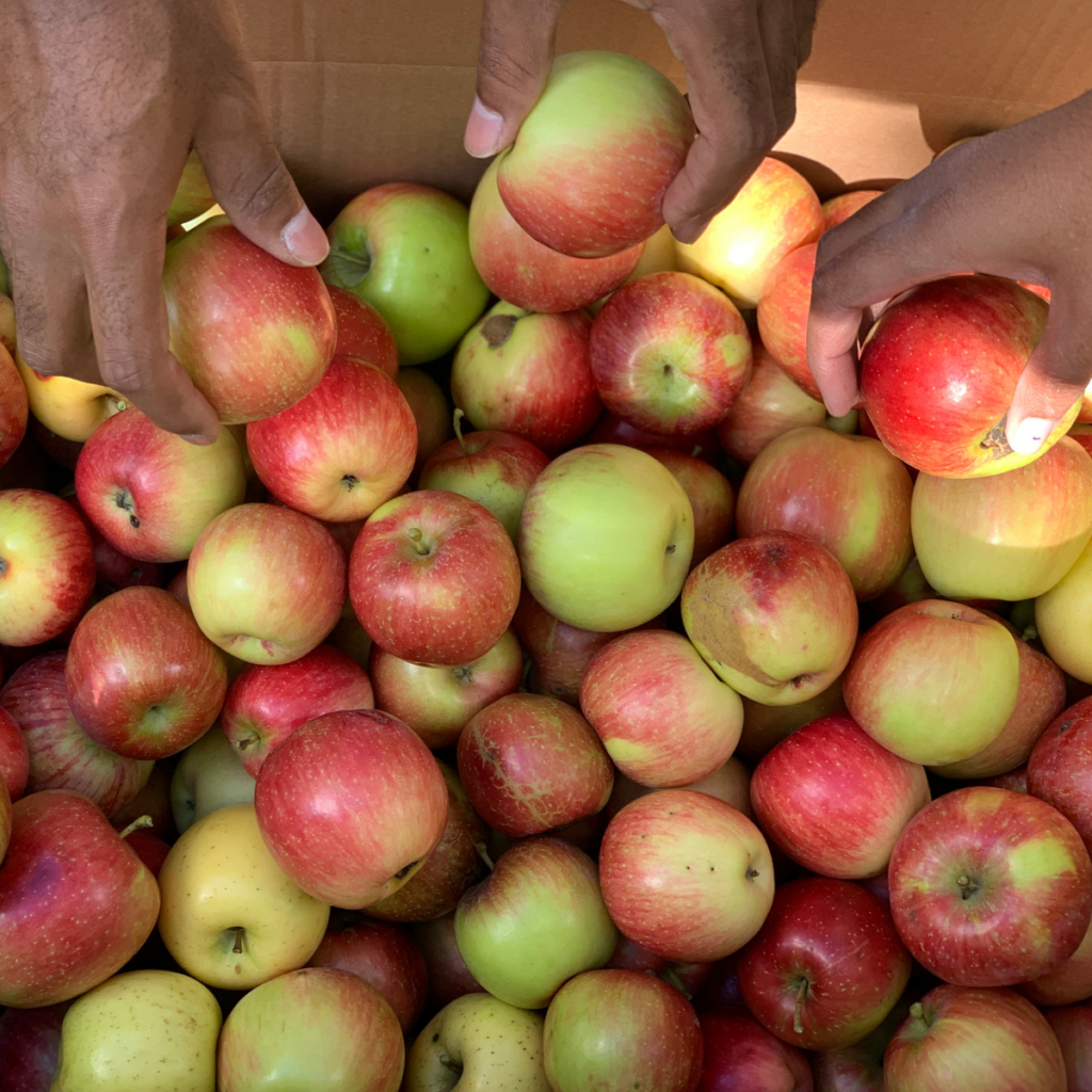 Livelihoods – Not Just Numbers - The Food Group